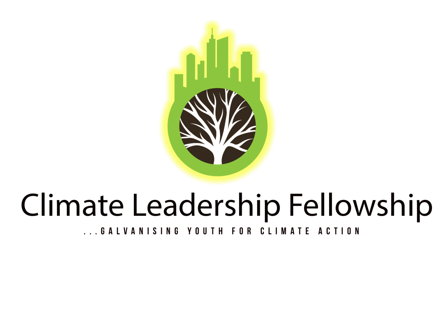 Climate Leadership Fellowship – Galvanising Youth for Climate Action
